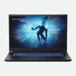 Medion Erazer Defender P50, Intel Core i7 13620H, 16GB RAM, 1TB SSD, 17 ...